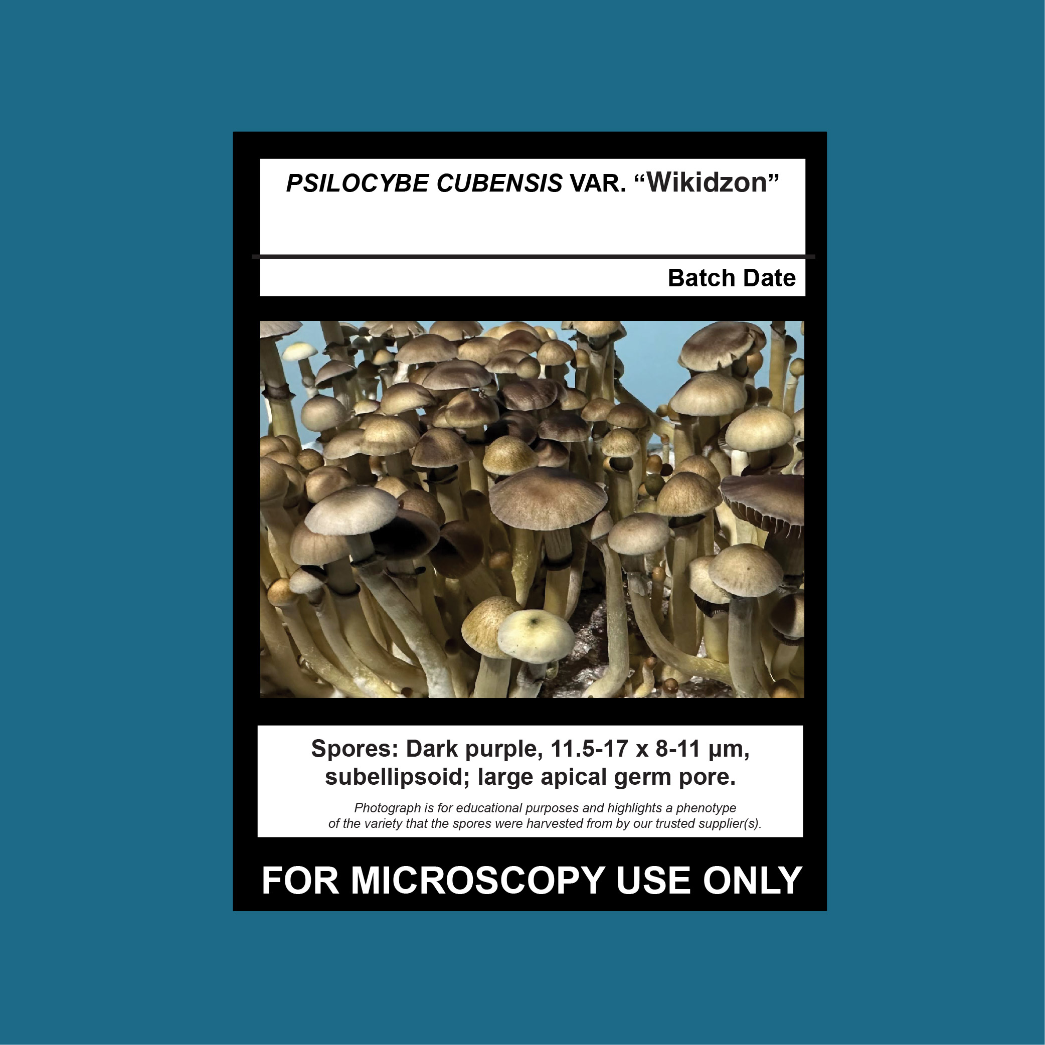 Jack Frost Spore Swab – Mushroom Man Mycology